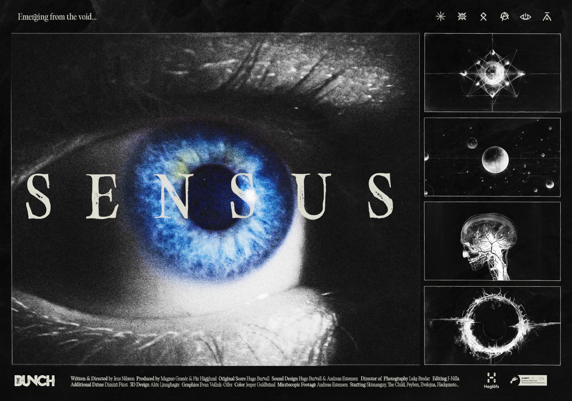 Sensus by The Bunch, reviewed | Downdays