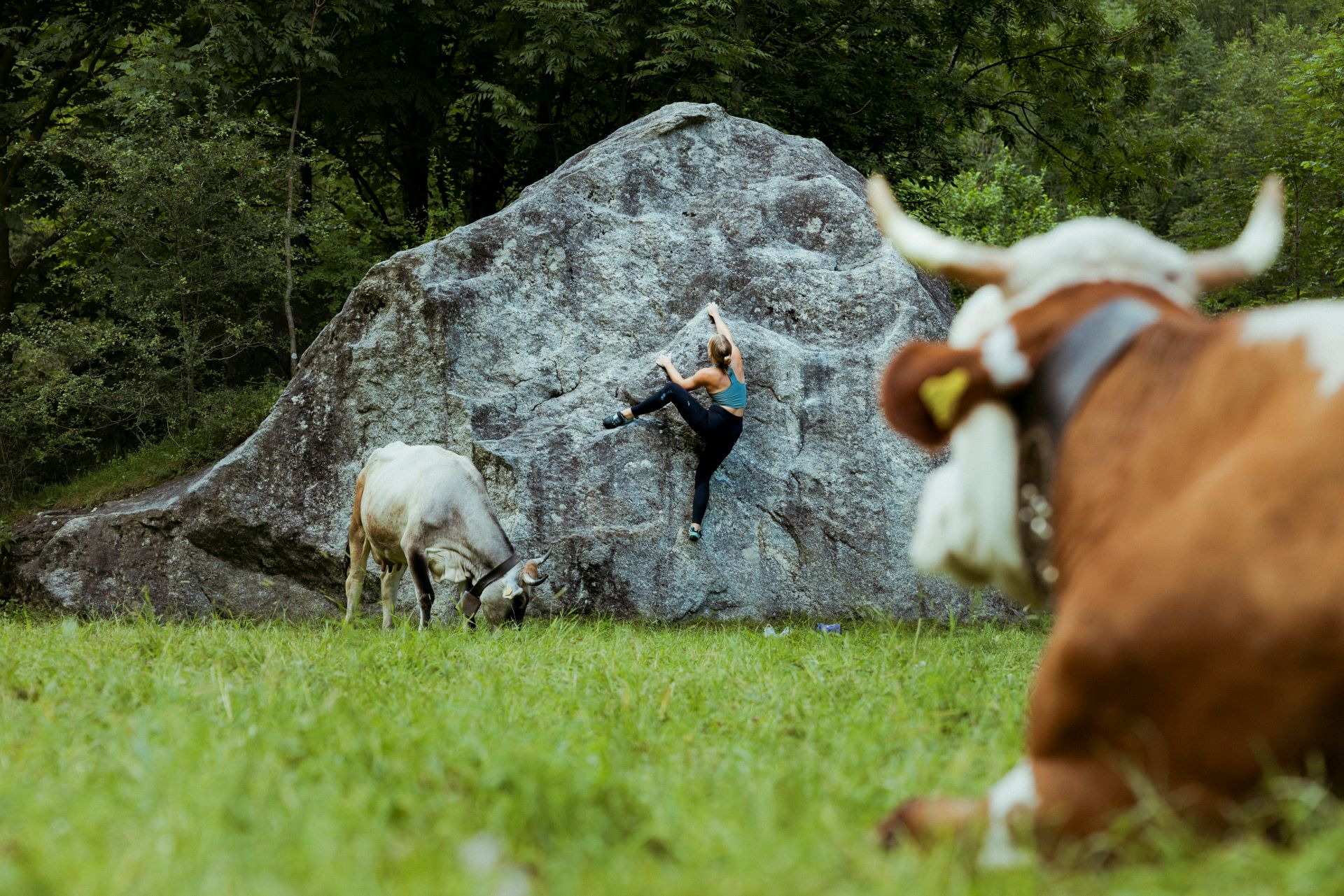 Mammut launches global photo contest | Downdays